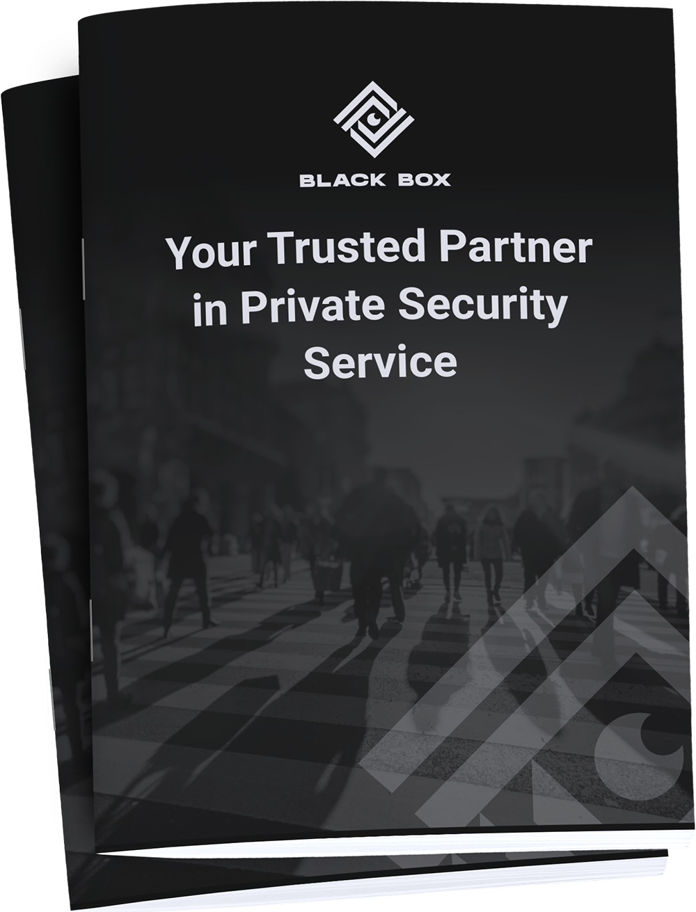 Private Security - Black Box Global